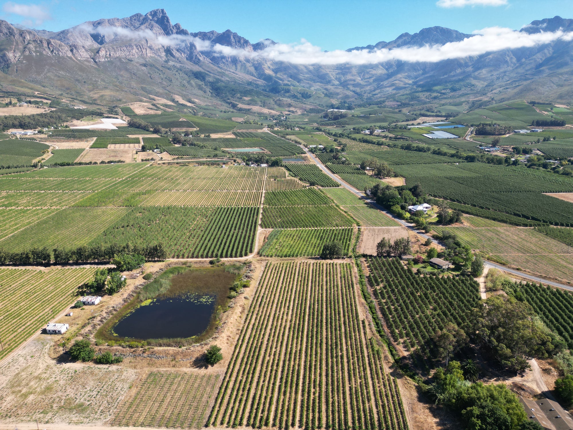 Bio Farm – BioFarm
